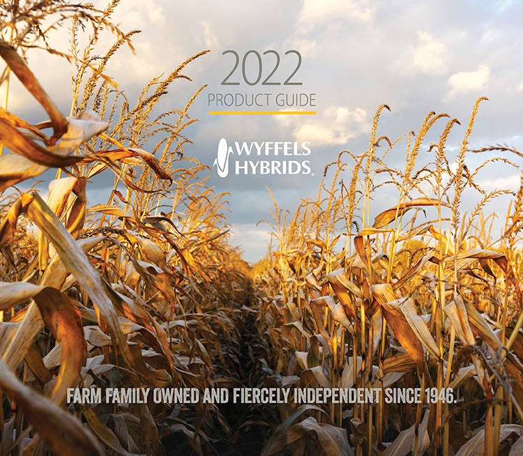 Home | Wyffels Corn Hybrids