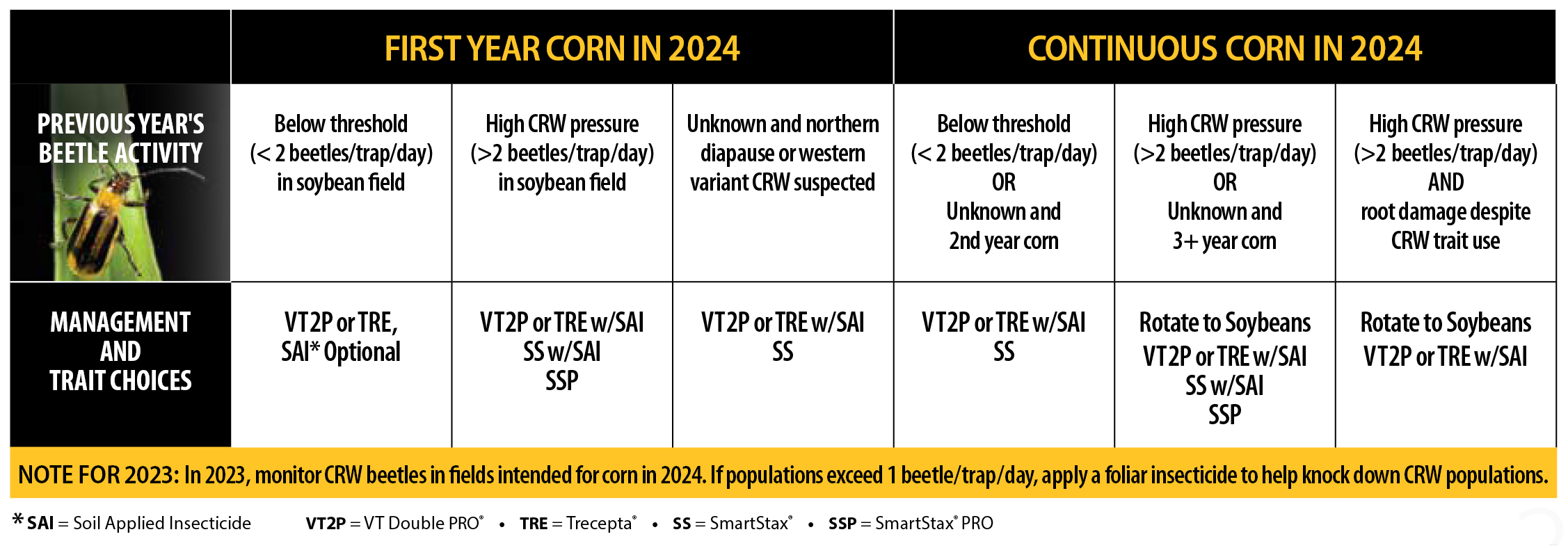 Monitoring Corn Rootworm Populations | Wyffels Corn Hybrids